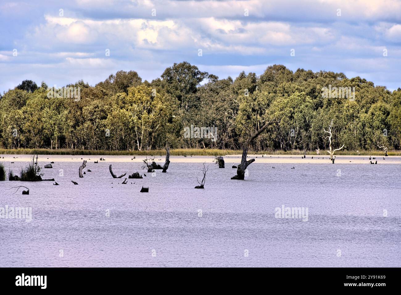 Murray River , Mildura, Victoria, Australia Stock Photo - Alamy