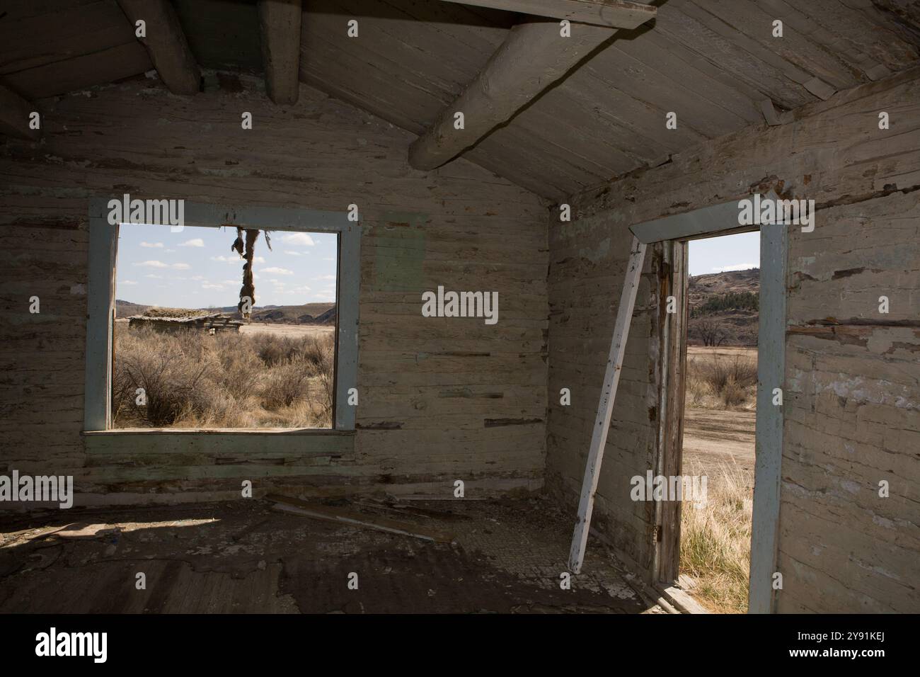 Interior view of a decaying log cabin. The homestead was bought out and ...