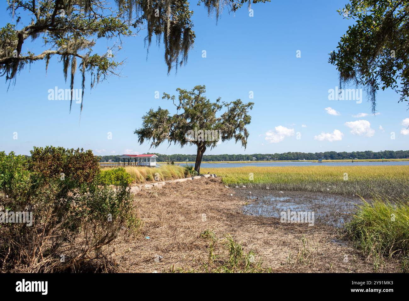 The beautiful historic mansion, Tidalholm, has served as the backdrop ...