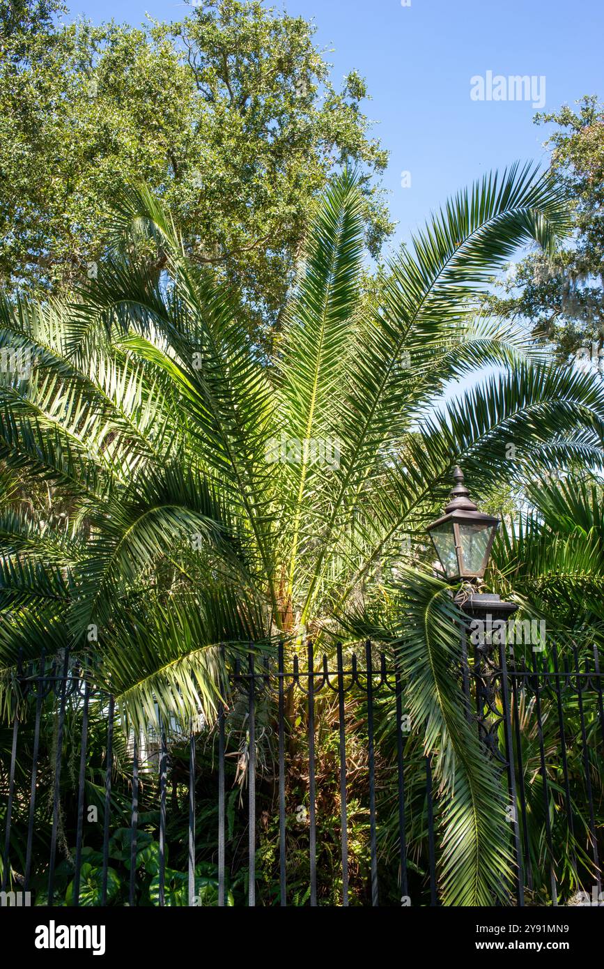 The beautiful historic mansion, Tidalholm, has served as the backdrop ...