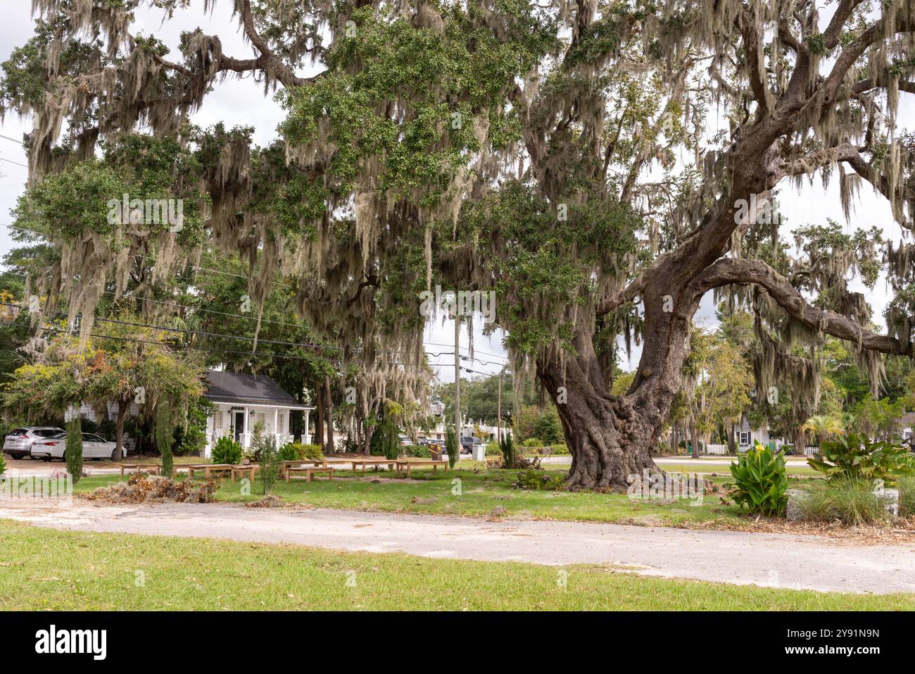 Pat Conroy Literary Center, Beaufort, South Carolina Stock Photo - Alamy