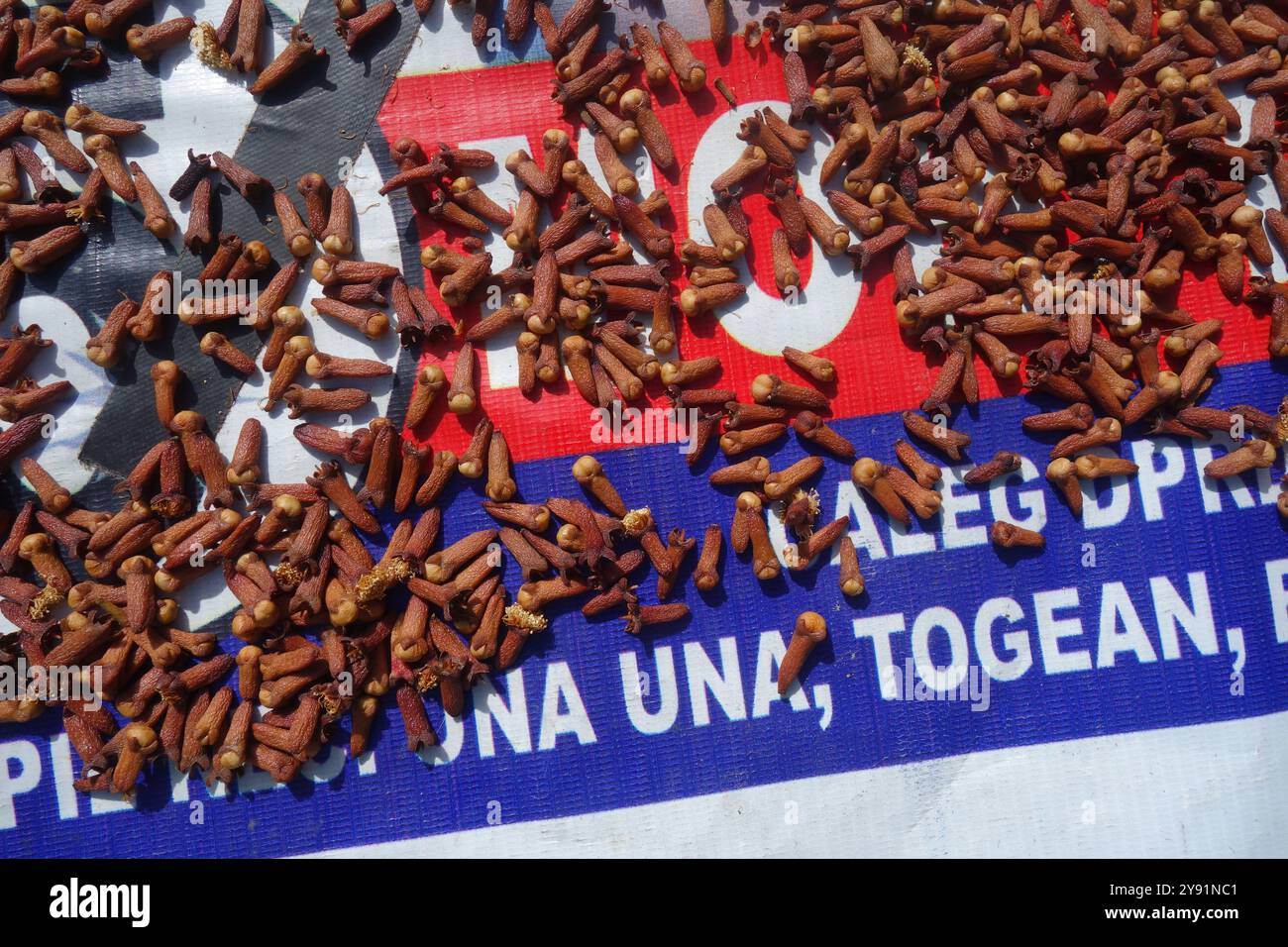 Cloves drying in sun hi-res stock photography and images - Alamy