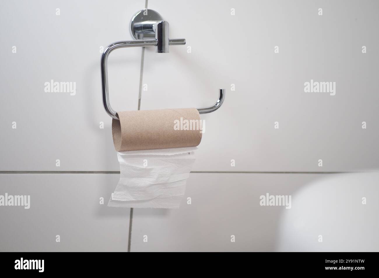 Tissue core hi-res stock photography and images - Alamy