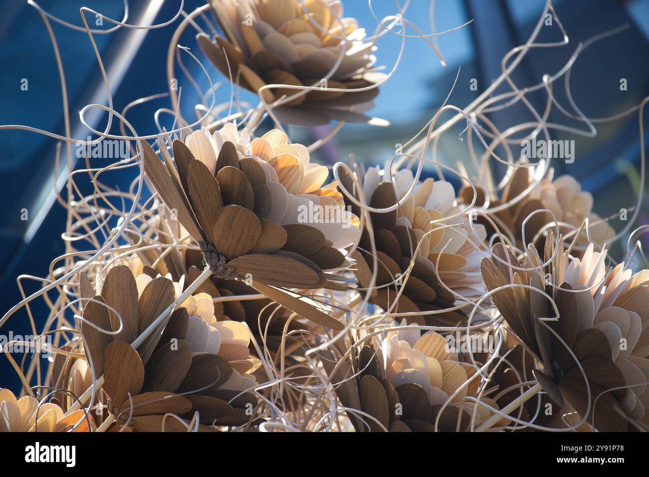 Swirling arrangement of delicate flowers hi-res stock photography and ...