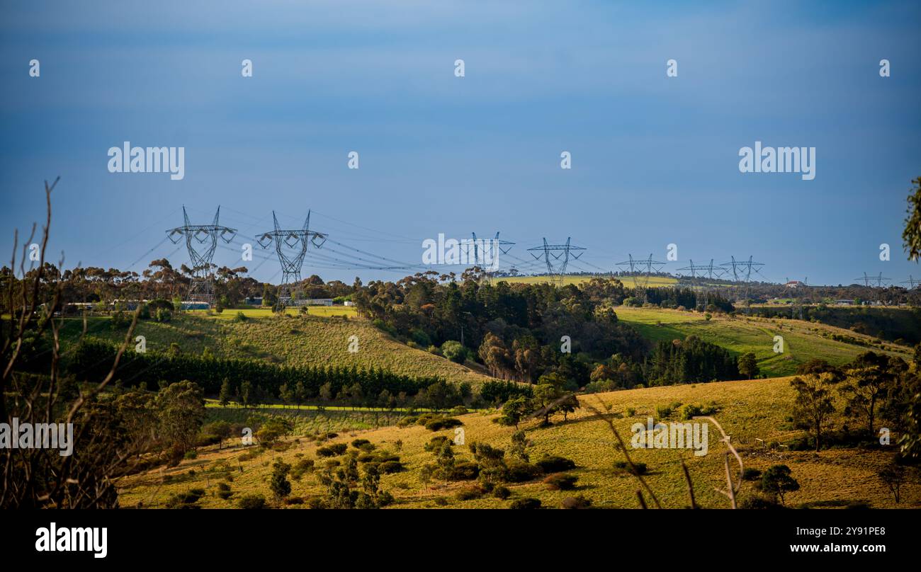 Technology meeting nature: Power grids in nature in Organ Pipes ...