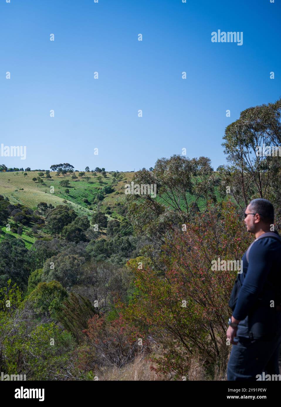 A male hiker is gazing at landscape in Organ Pipes National Park ...