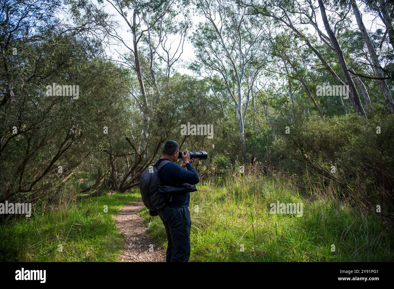 Bird watching - a male hiker taking photos of birds in Organ Pipes ...