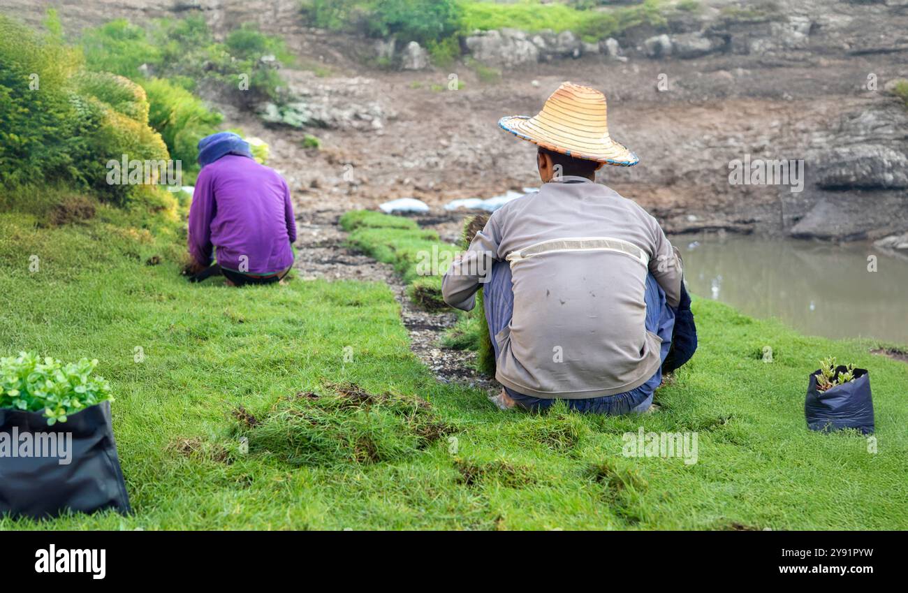 Gardener make garden with green grass and planting new born tree in ...