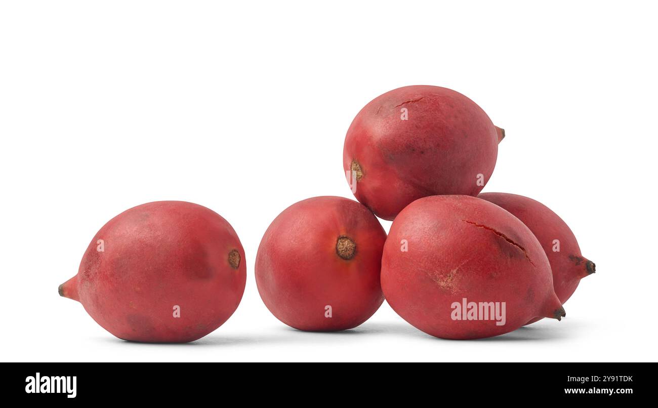 pile of fox tail palm fruits isolated white background, large oval ...