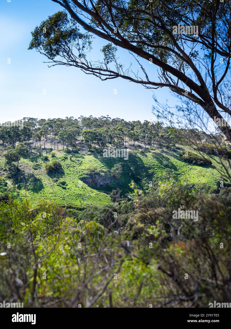 Scenery in Spring at Organ Pipes National Park, Melbourne, Victoria ...