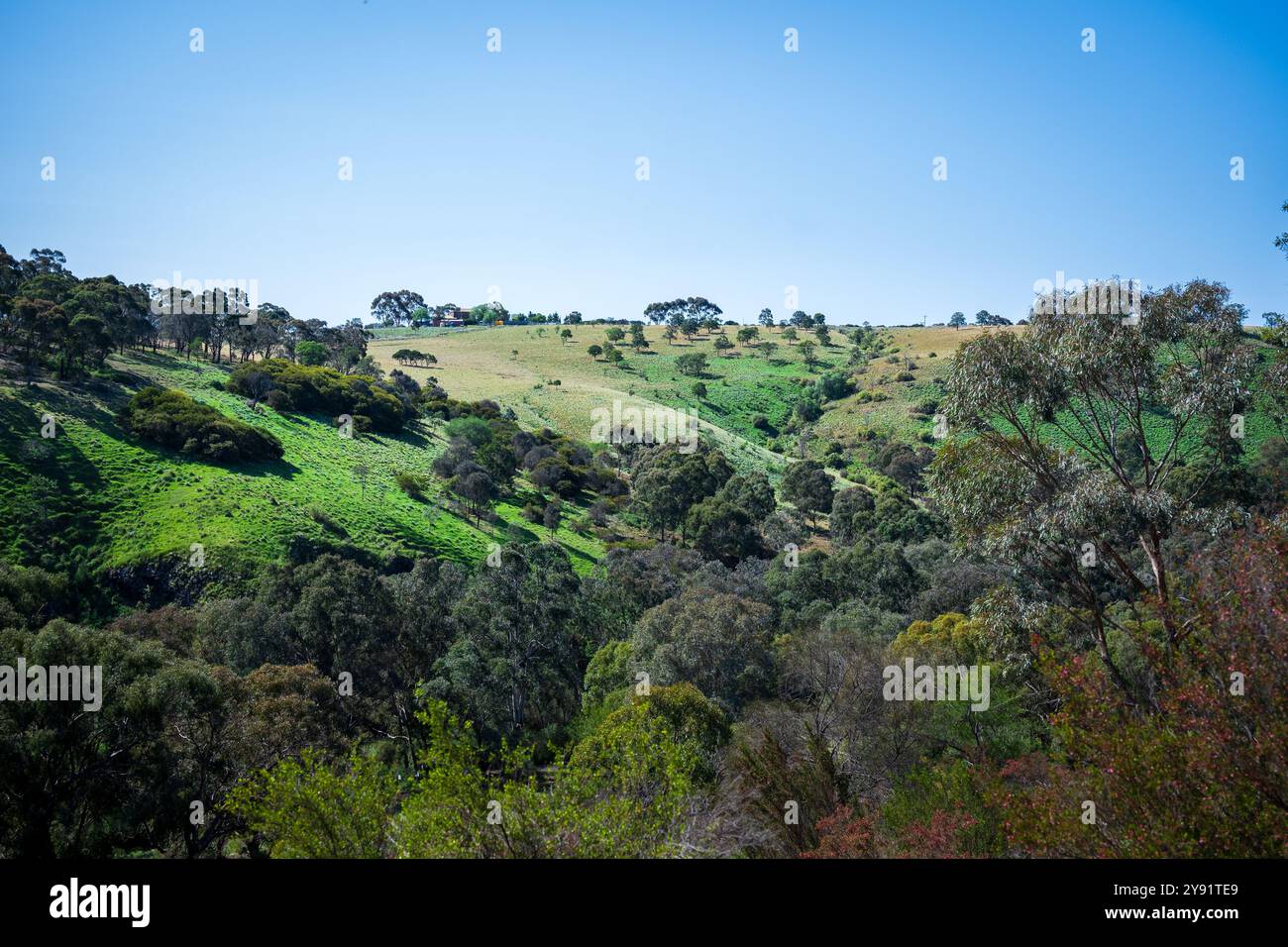 Scenery in Spring at Organ Pipes National Park, Melbourne, Victoria ...