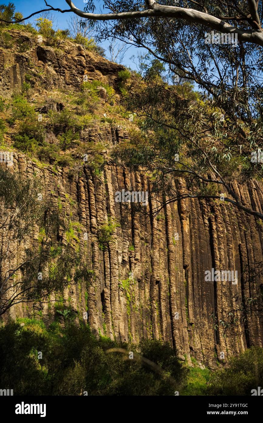 Volcanic Basalt Columns resembling 'Organ Pipes' at Organ Pipes ...