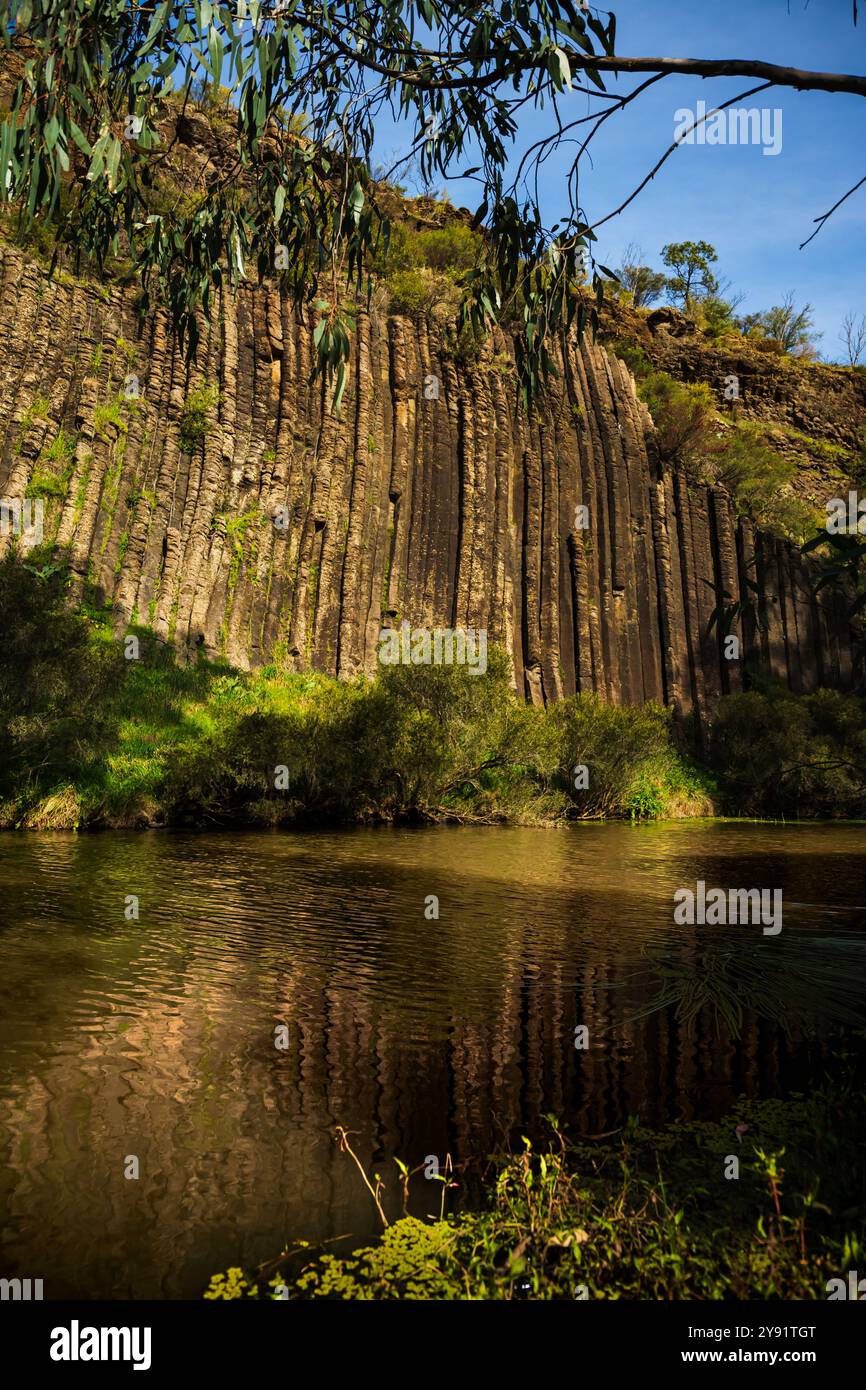 Volcanic Basalt Columns resembling 'Organ Pipes' with reflections into ...