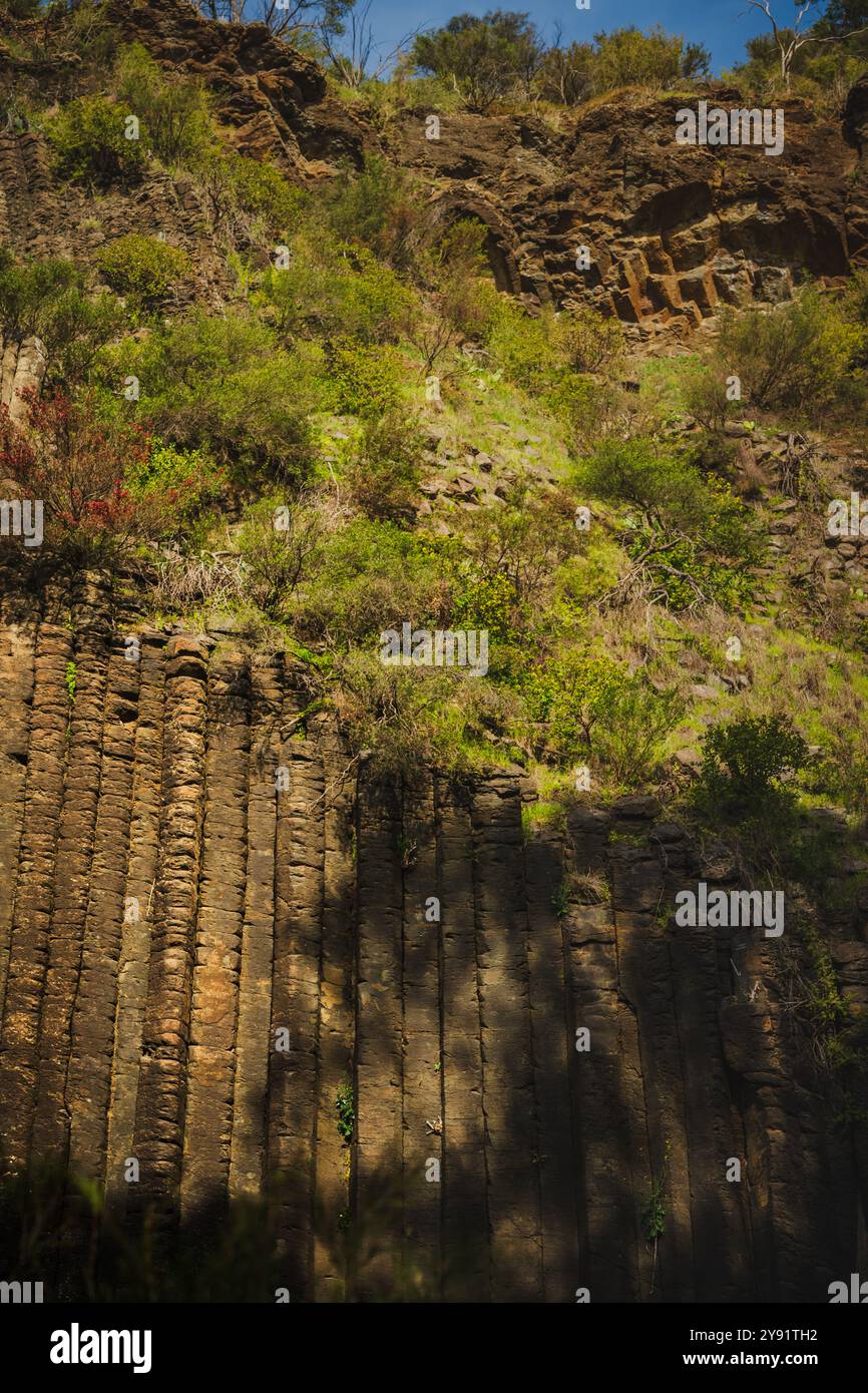 Volcanic Basalt Columns resembling 'Organ Pipes' at Organ Pipes ...