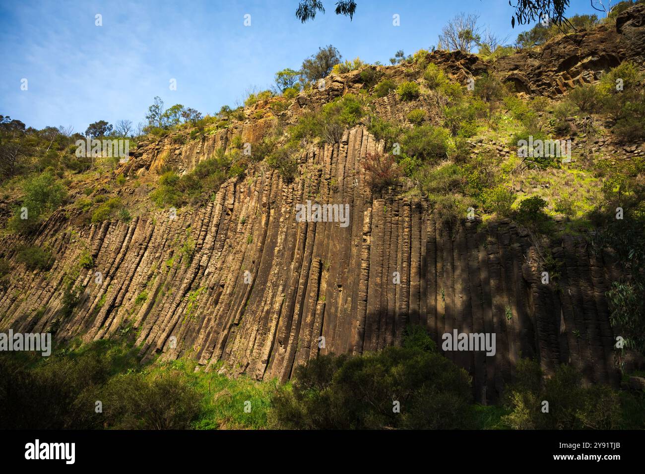 Volcanic Basalt Columns resembling 'Organ Pipes' at Organ Pipes ...