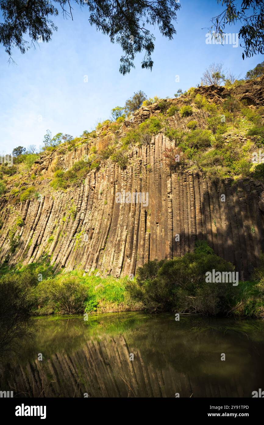 Volcanic Basalt Columns resembling 'Organ Pipes' with reflections into ...