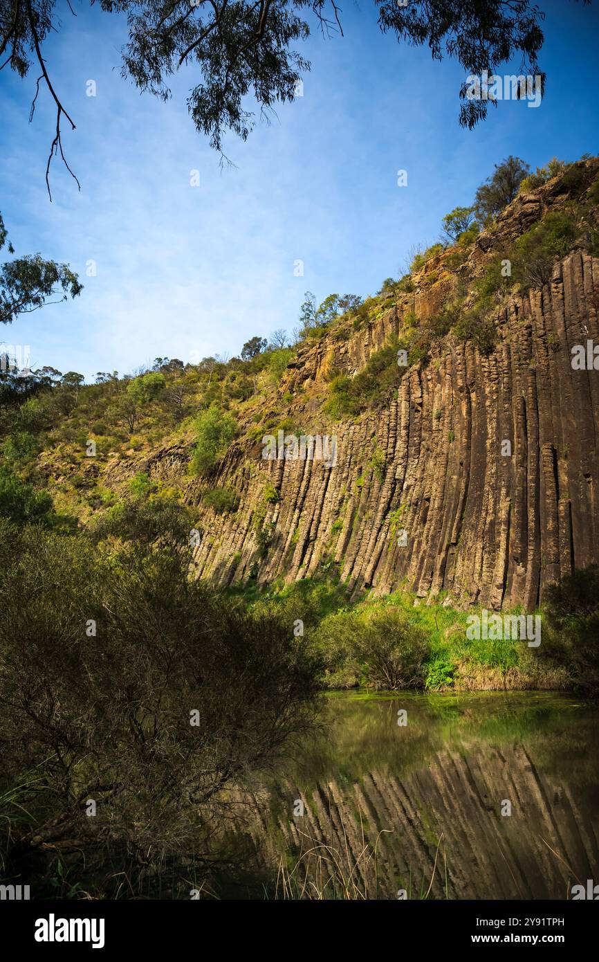 Volcanic Basalt Columns resembling 'Organ Pipes' with reflections into ...