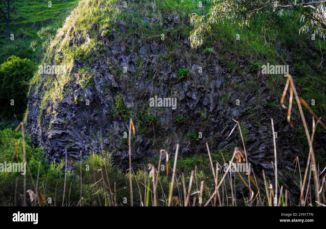 Rosette rock: a volcanic rock formation, towering above Jacksons Creek ...