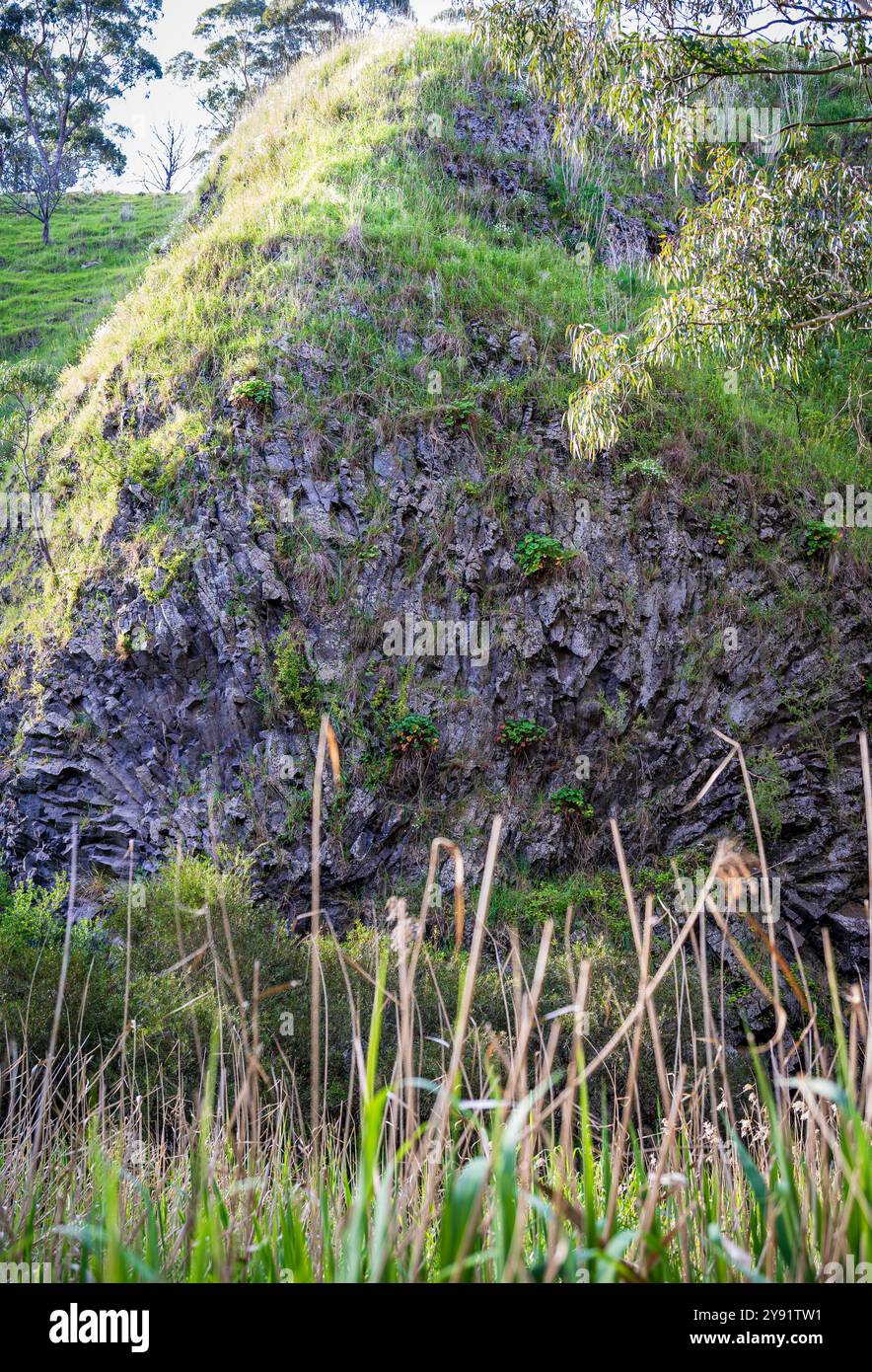 Rosette rock: a volcanic rock formation, towering above Jacksons Creek ...