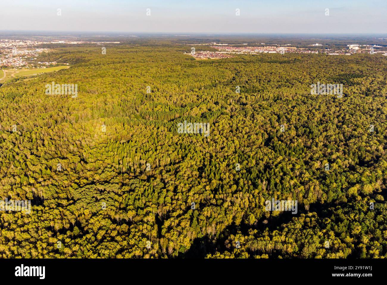 View from a great height of a forest stretching beyond the horizon ...