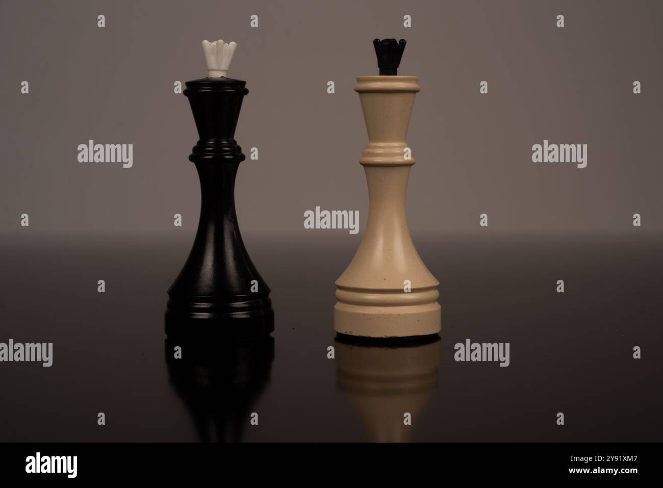 Black and white chess queen battle. Strategy equality victory concept ...