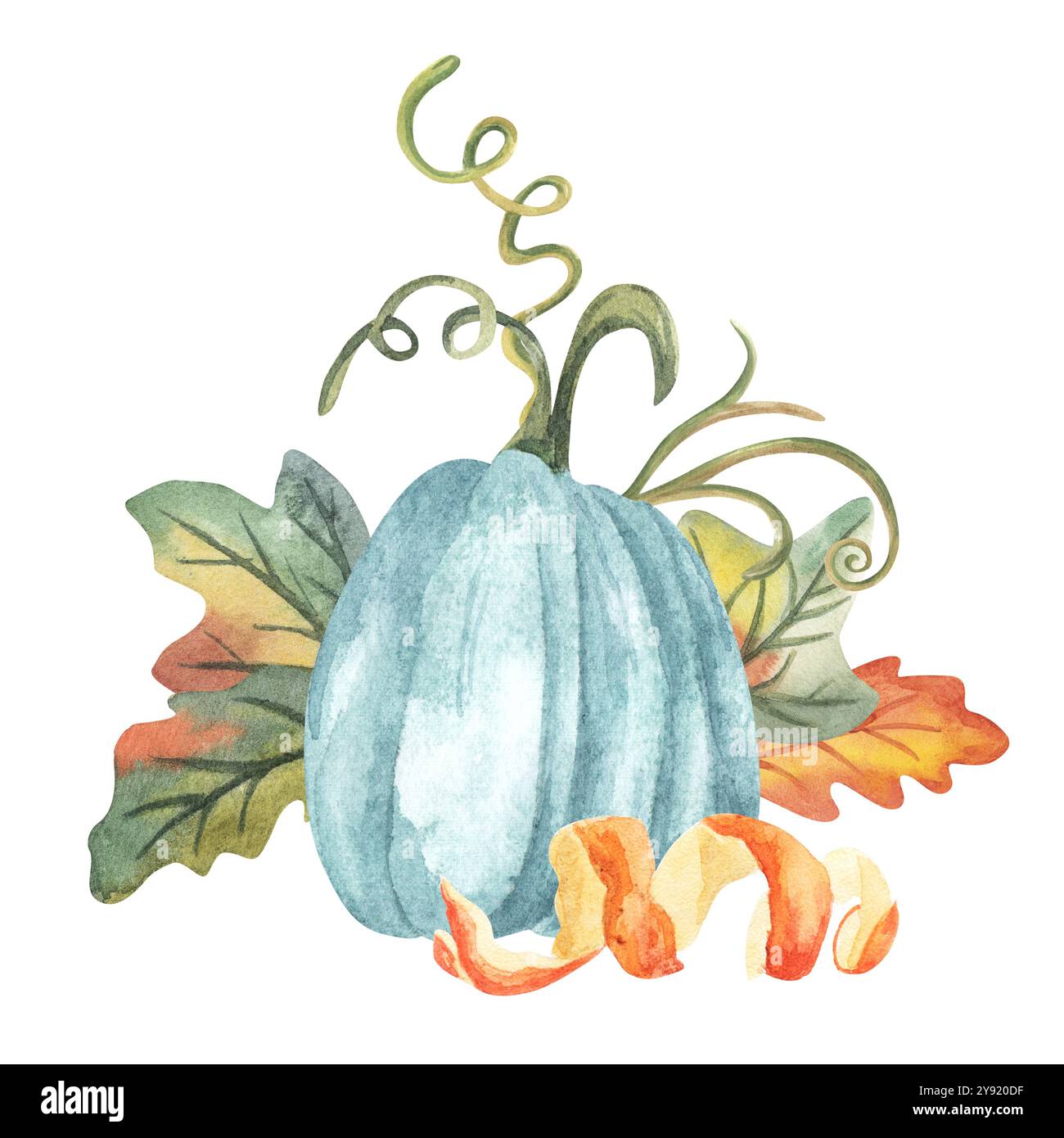 Watercolor blue pumpkin leaves, floral pumpkins, Halloween clipart ...