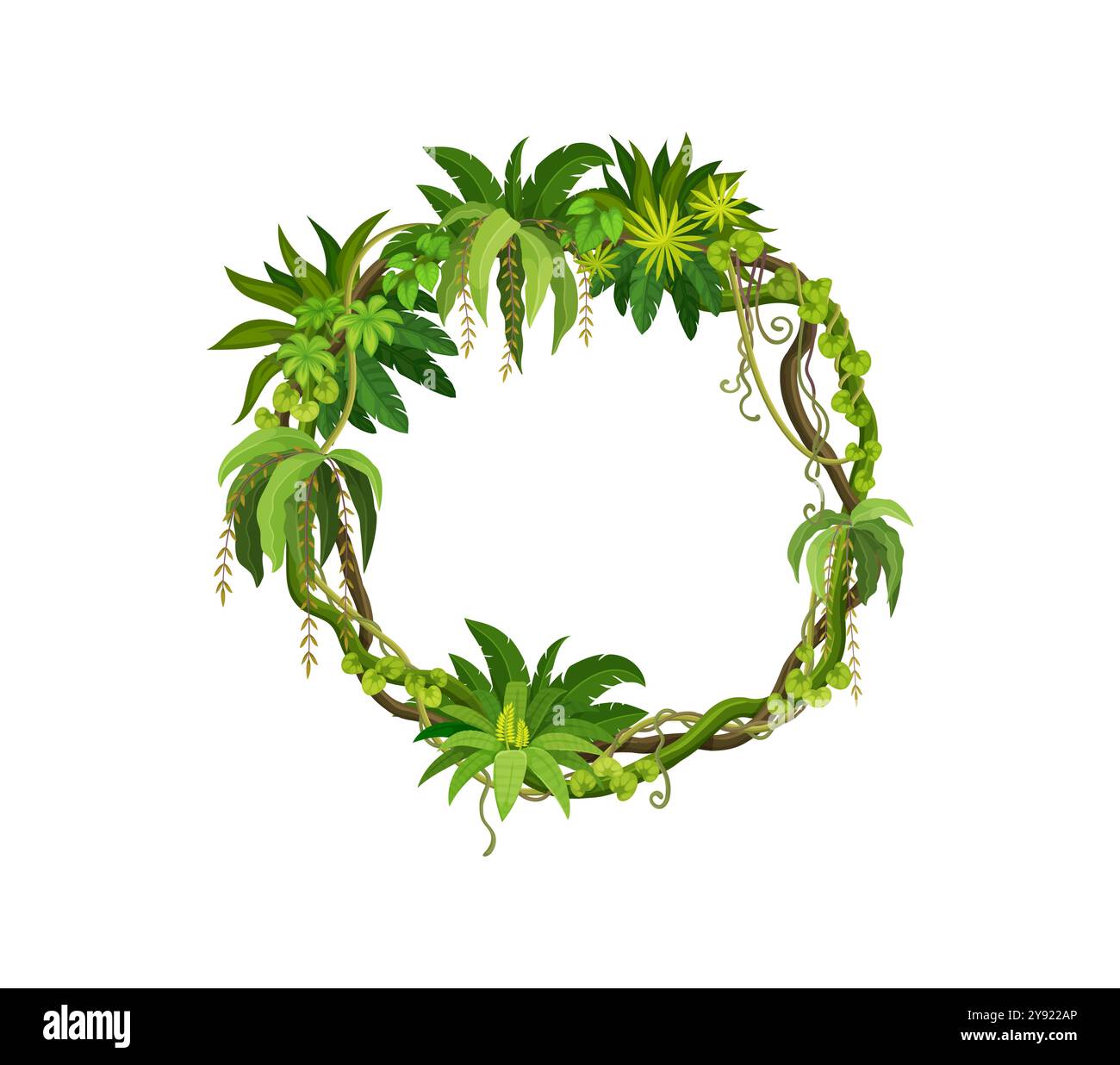 Tropical jungle round frame with forest liana branch and leaves, vines ...