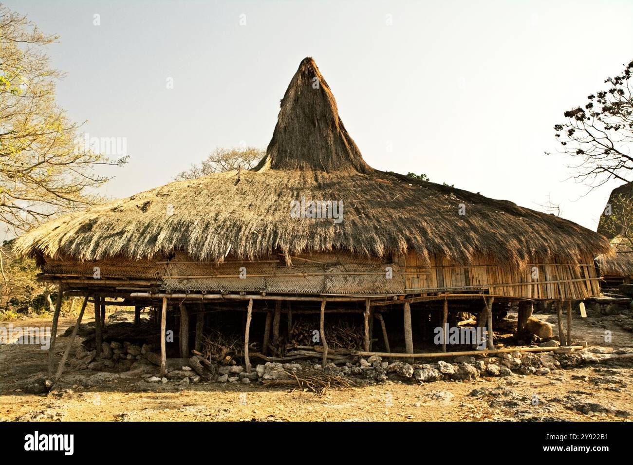 Sumbanese traditional house in traditional village of Prailiang, which ...