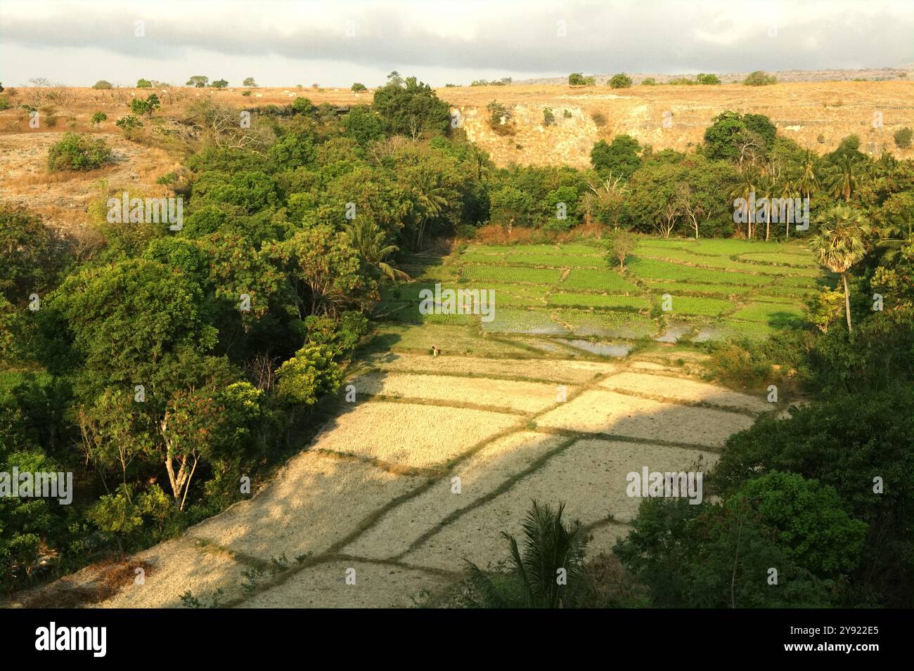 Green agricultural fields in a background of dry grassland are seen ...
