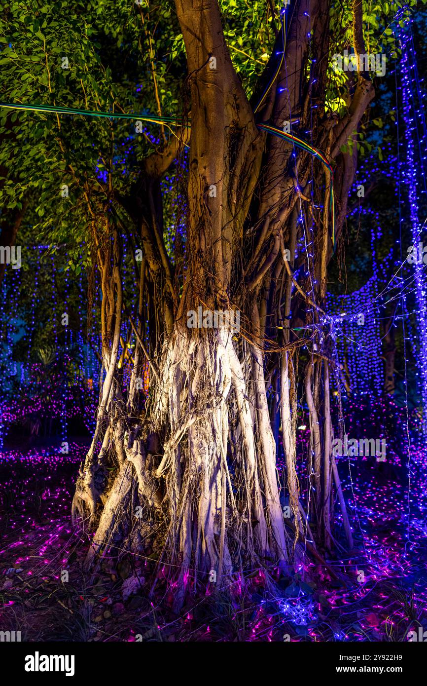 JANUARY 21, 2021, CHONGQING, CHINA: Night view and beautiful Chongqing ...