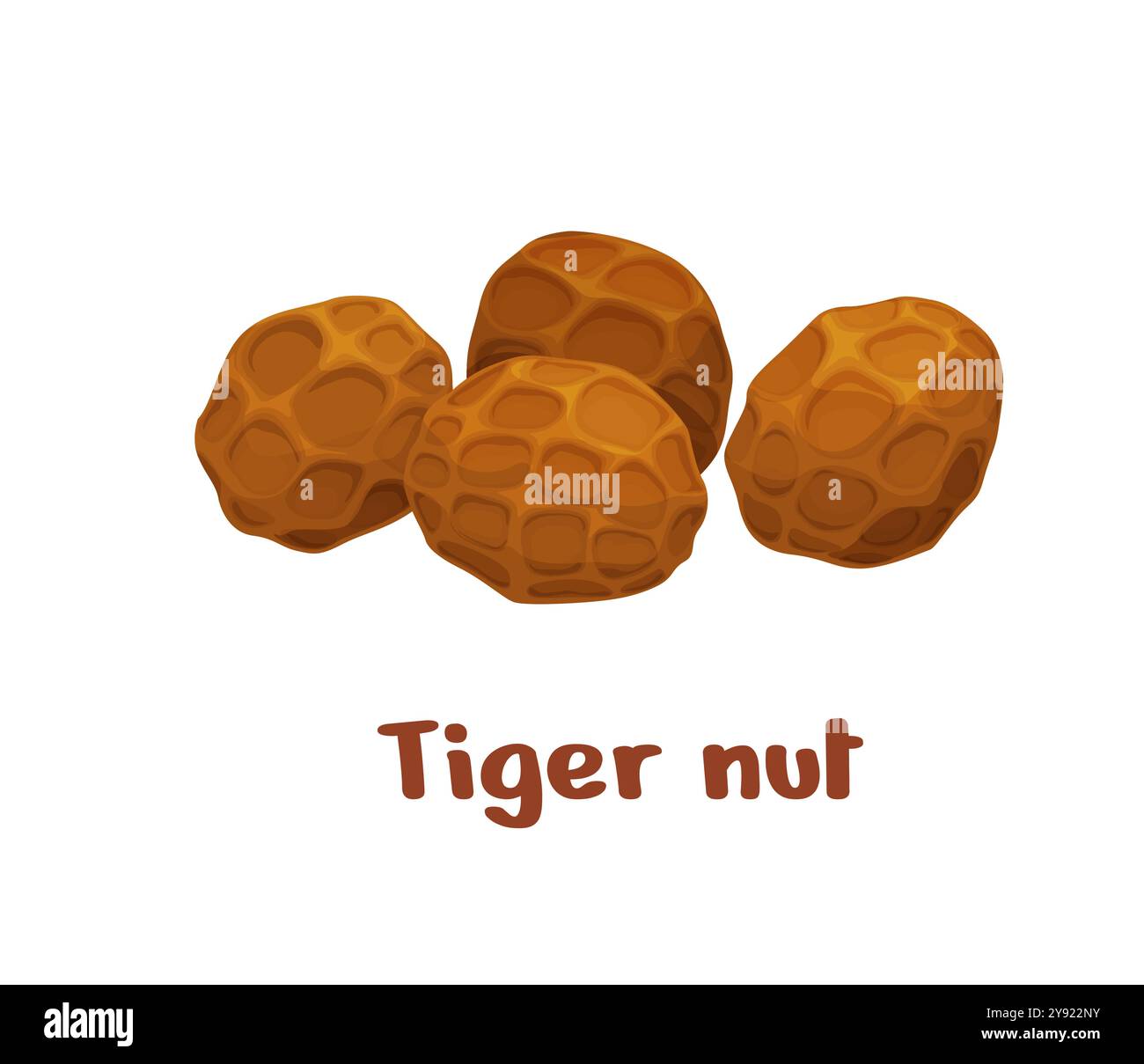 Uncommon tiger nuts or chufa, nutrient-rich tubers with a sweet, nutty ...