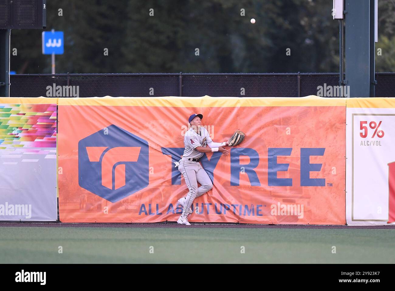 Tri-City Dust Devils outfielder Landon Wallace (13) crashes into the ...
