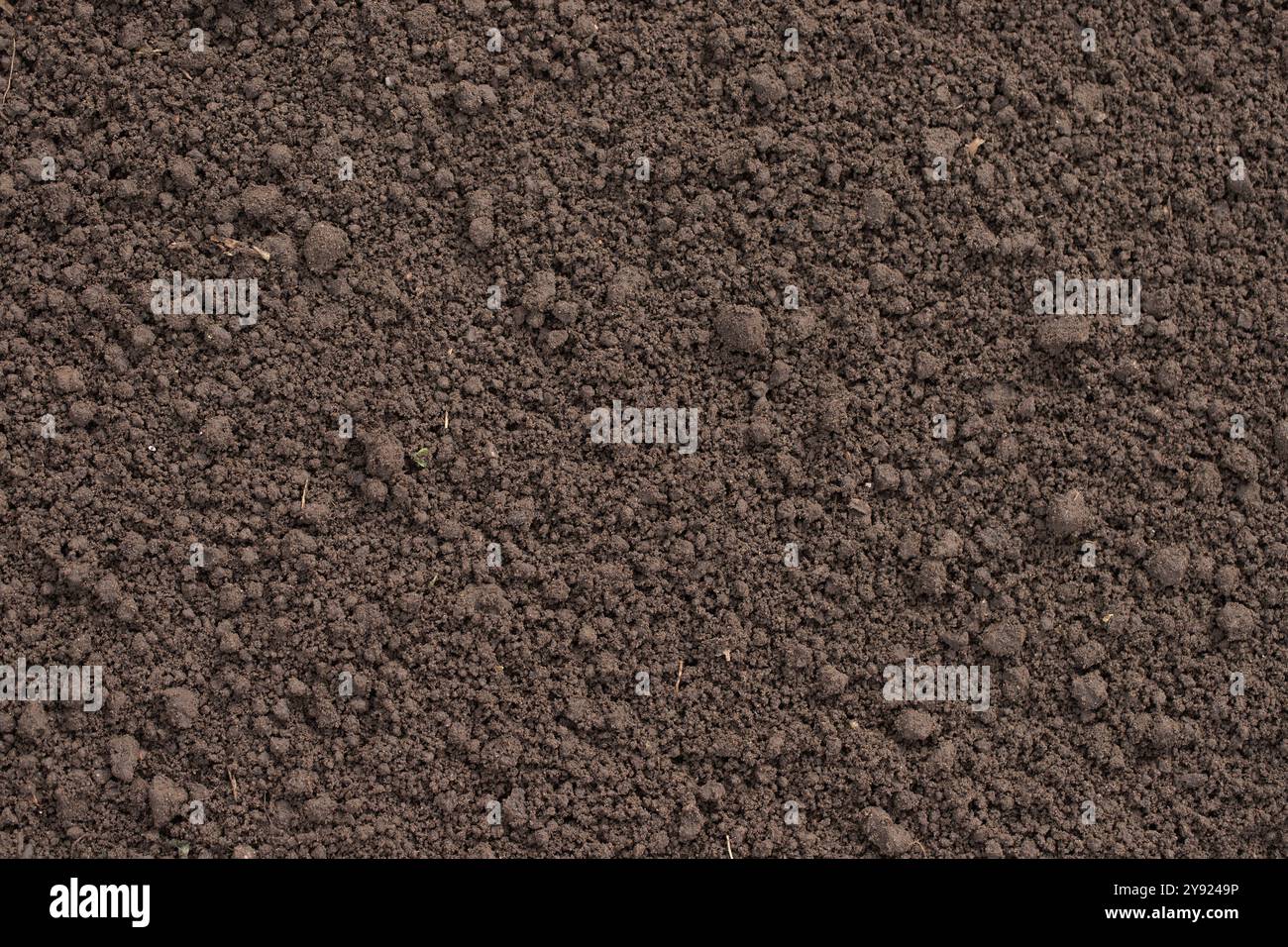 brown soil on the farm, top view. prepared humus for planting Stock ...