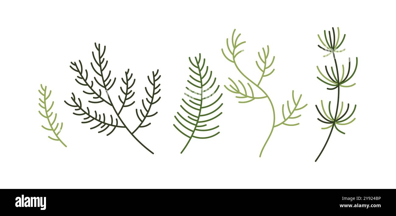 Different stylized pine branches flat vector objects set Stock Vector ...