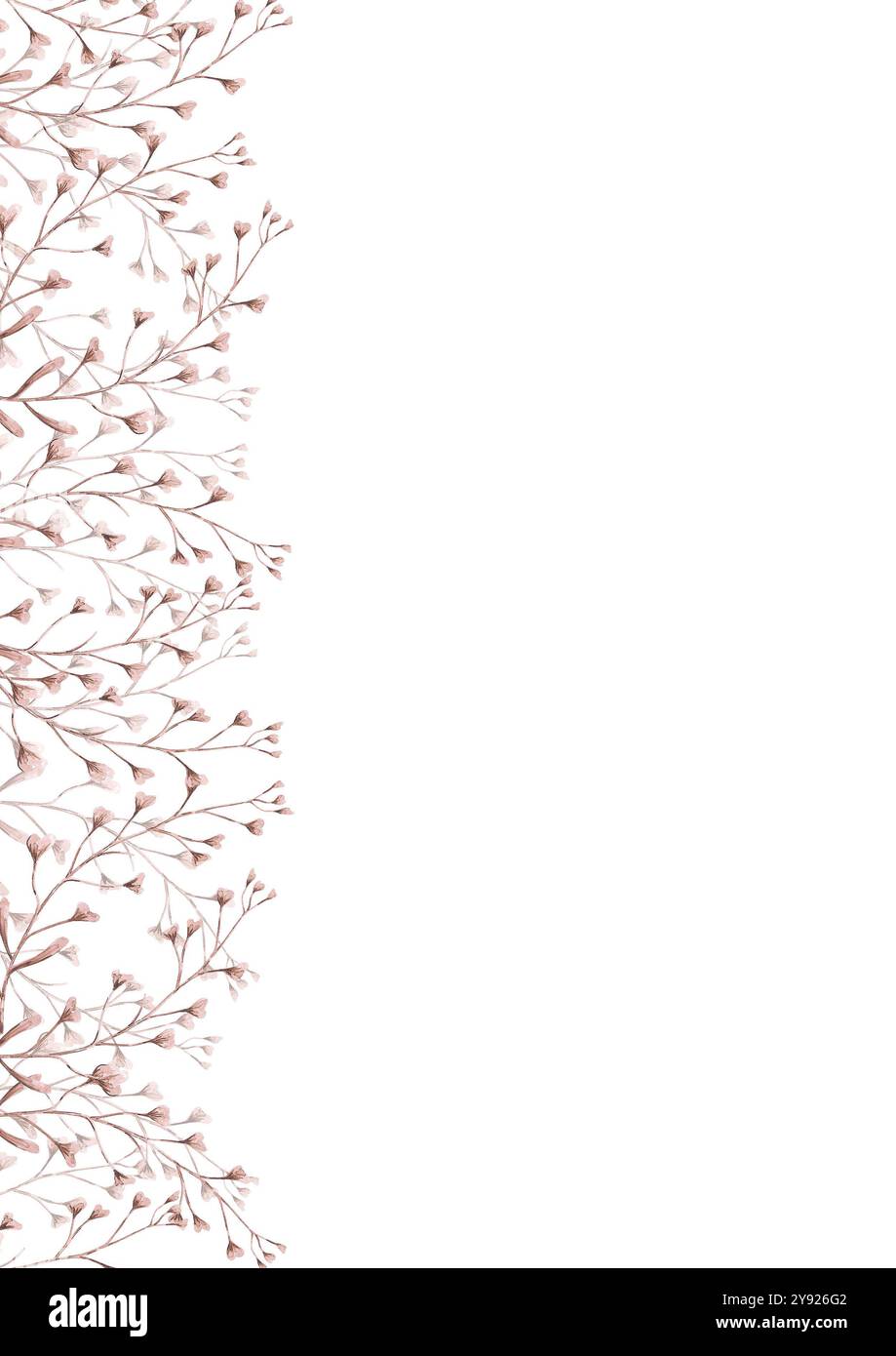 Hand drawn watercolor dried autumn seed crop frame border isolated on ...