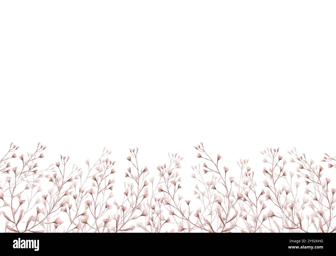 Hand drawn watercolor dried autumn seed crop flowers frame border ...