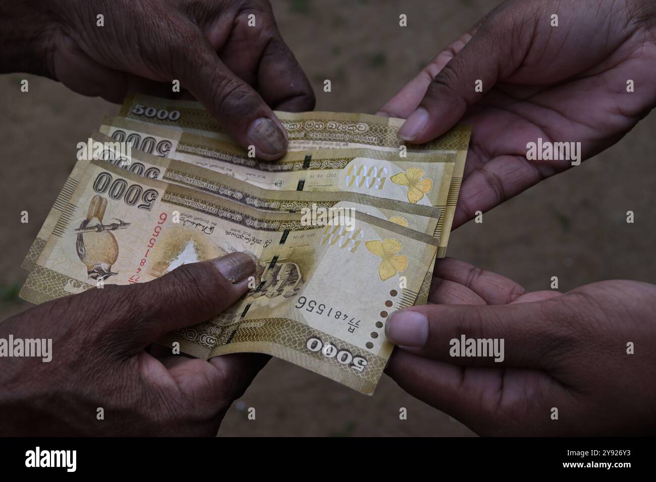 Kalutara, Sri Lanka - October 04th 2024 - Close up view of several Sri ...