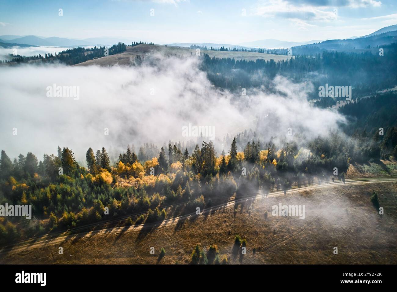 Stunning landscape with dense forests and rolling hills partially shrouded in soft, ethereal fog ...