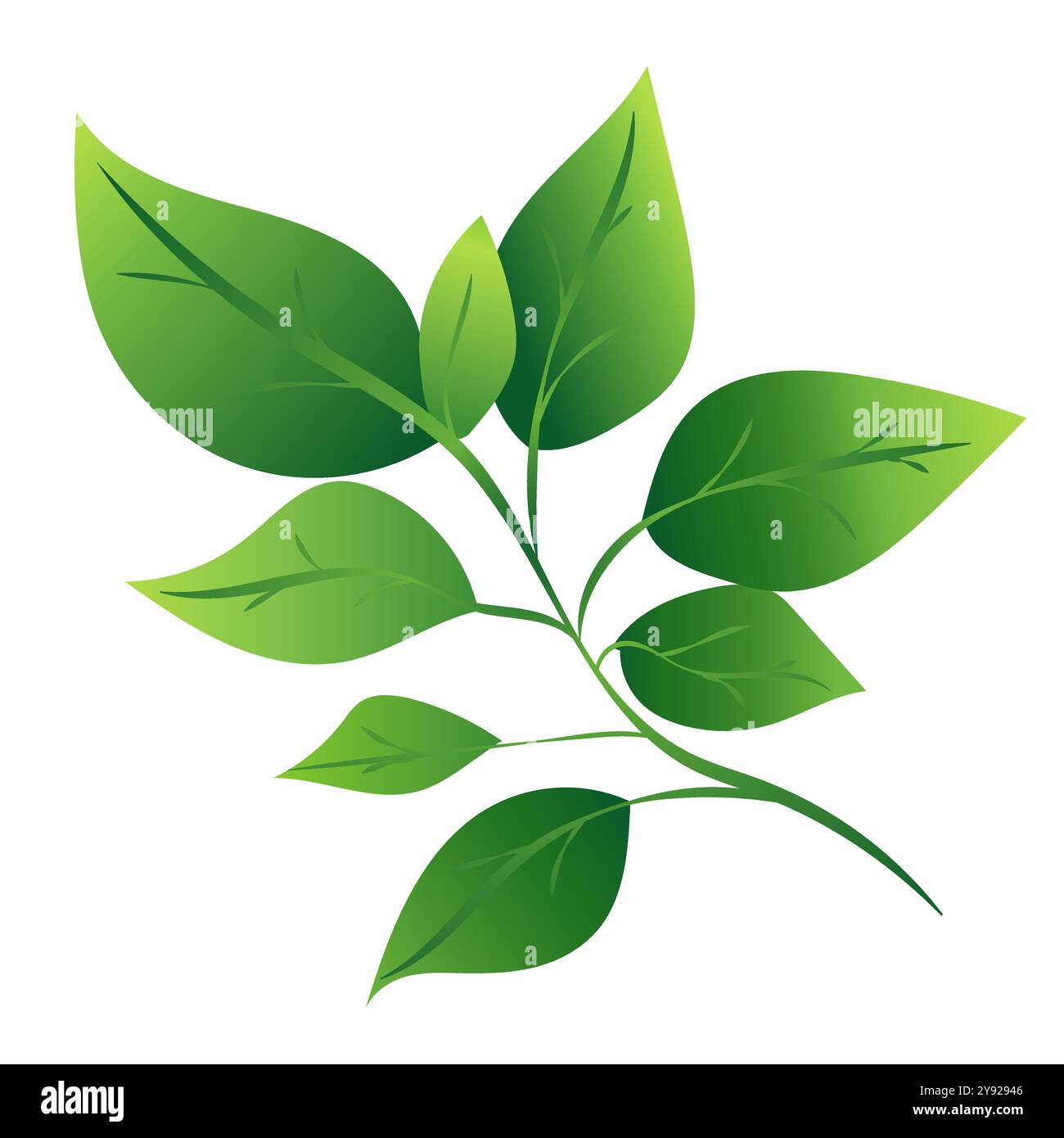 This Image Features A Green Leaf Branch With Various Leaf Shapes this-image-features-a-green-leaf-branch-with-various-leaf-shapes