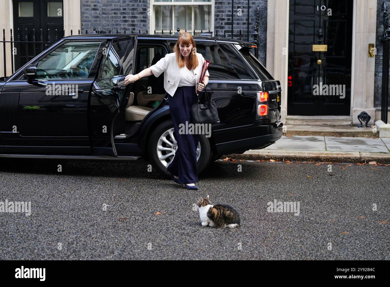 Deputy Prime Minister Angela Rayner looks at Larry the Cat as she ...