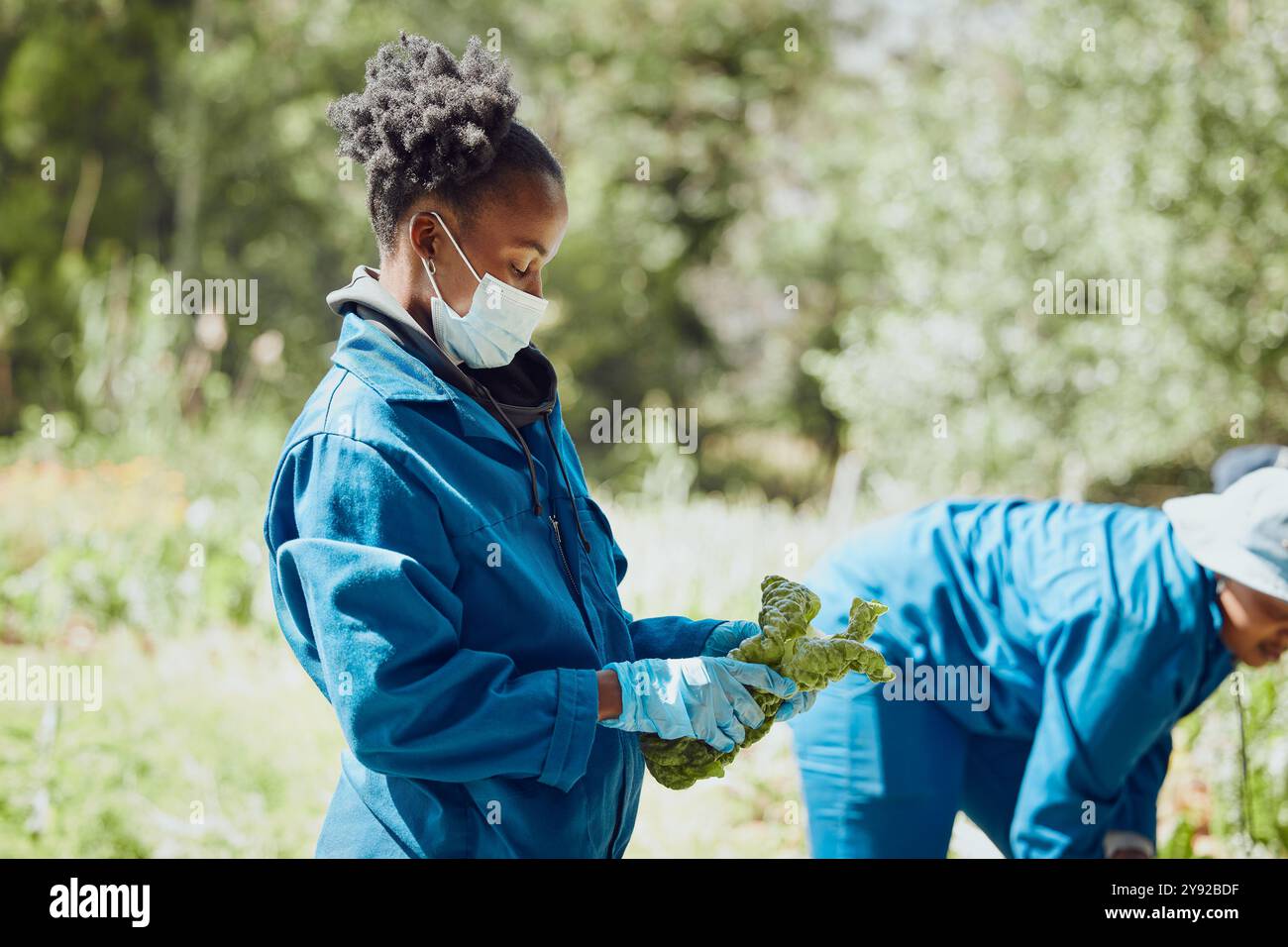 People, teamwork and mask on farm for health, sustainable agro business ...