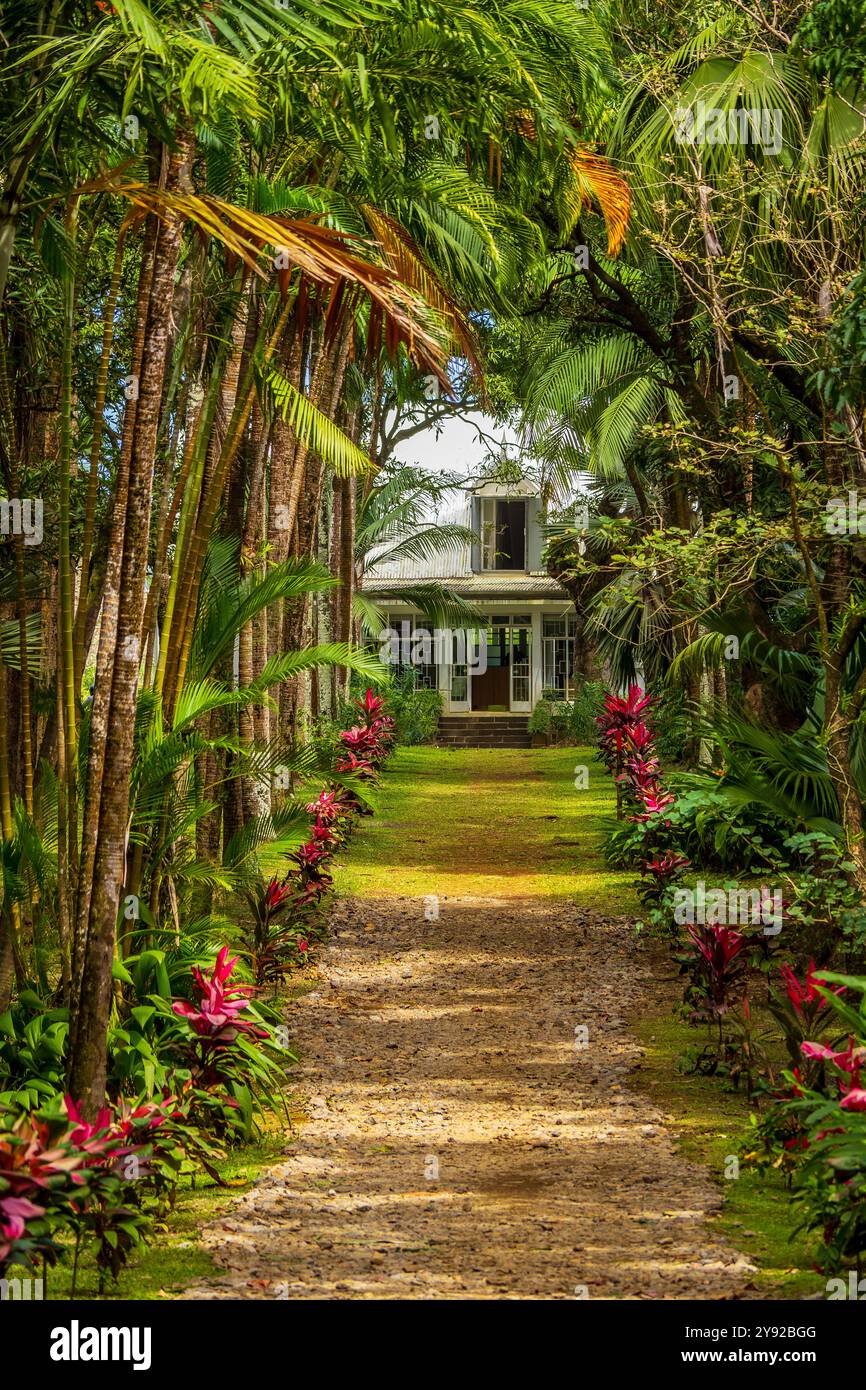 Breathtaking tropical garden hi-res stock photography and images - Alamy