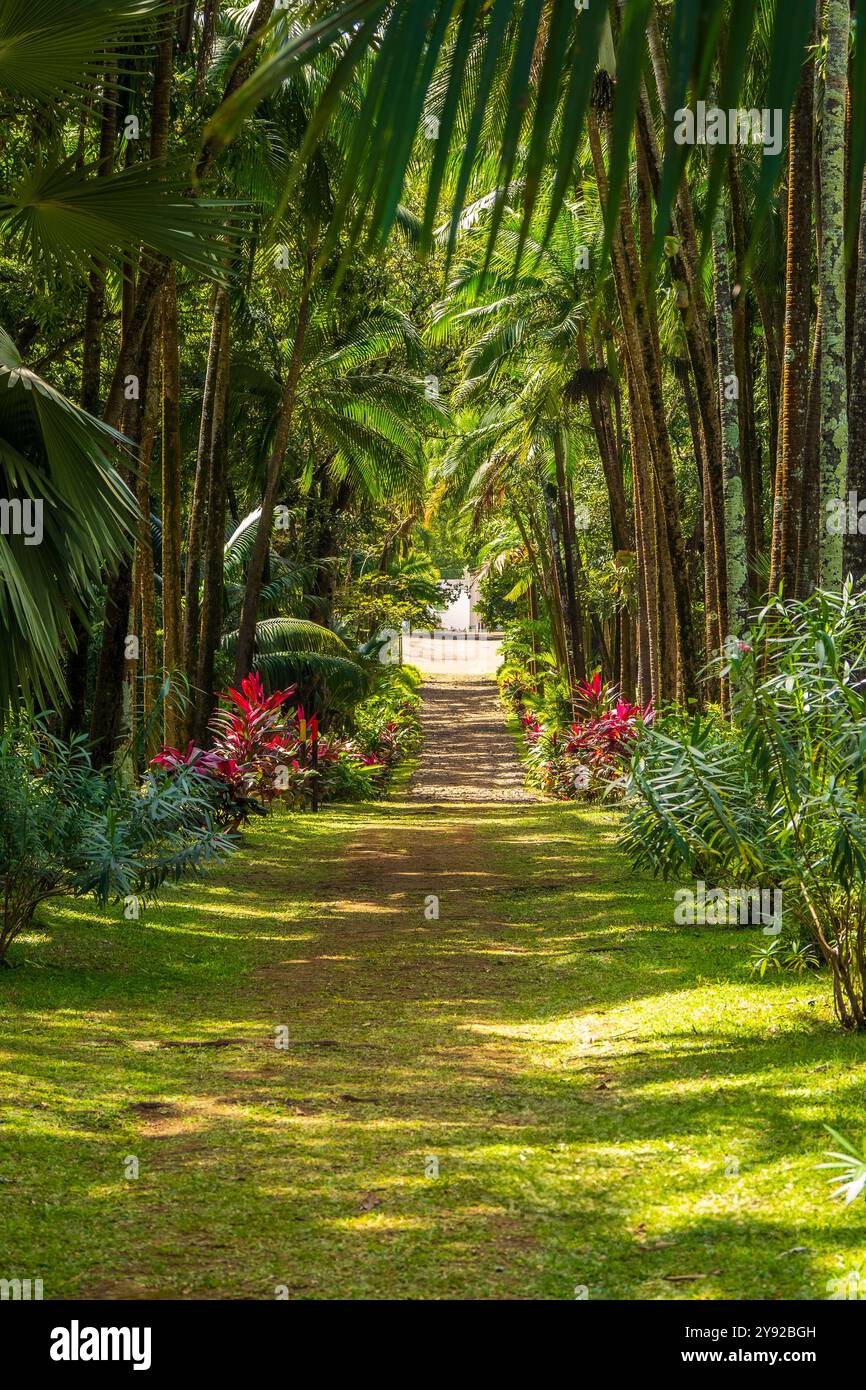 Breathtaking postcard view of a tree-lined walkway through a colonial ...
