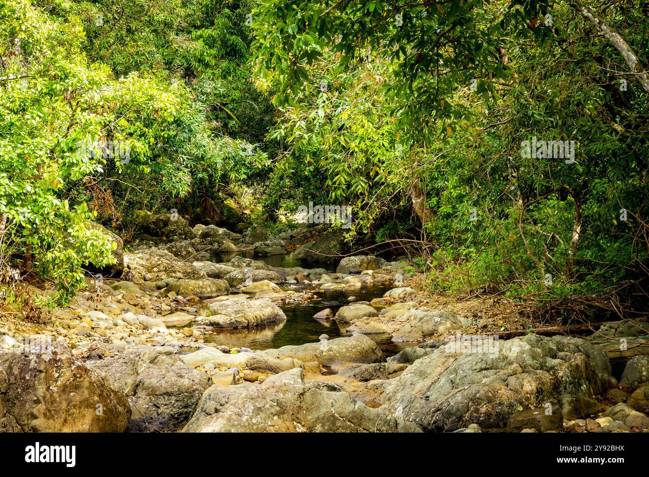 Ferney mauritius hi-res stock photography and images - Alamy