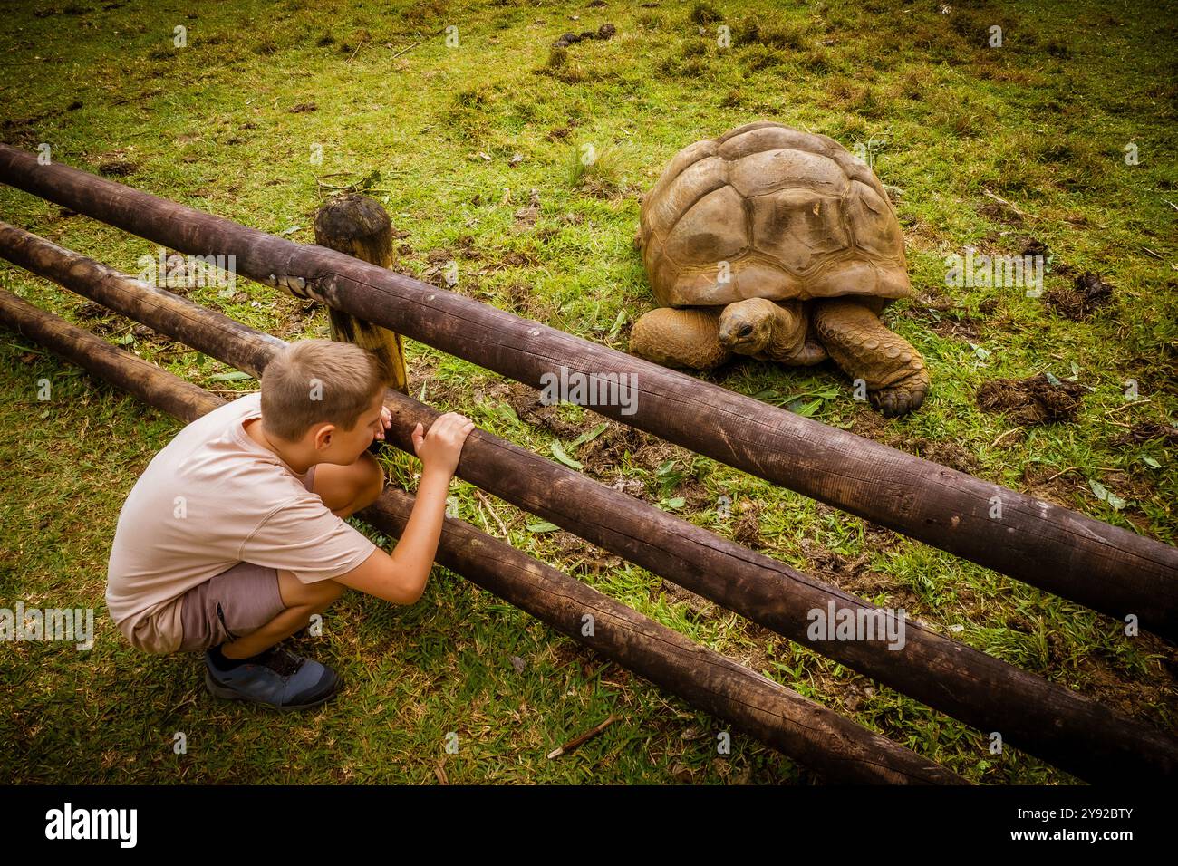 Beautiful view of a 10 years old boy looking at a giant tortoise eye to ...