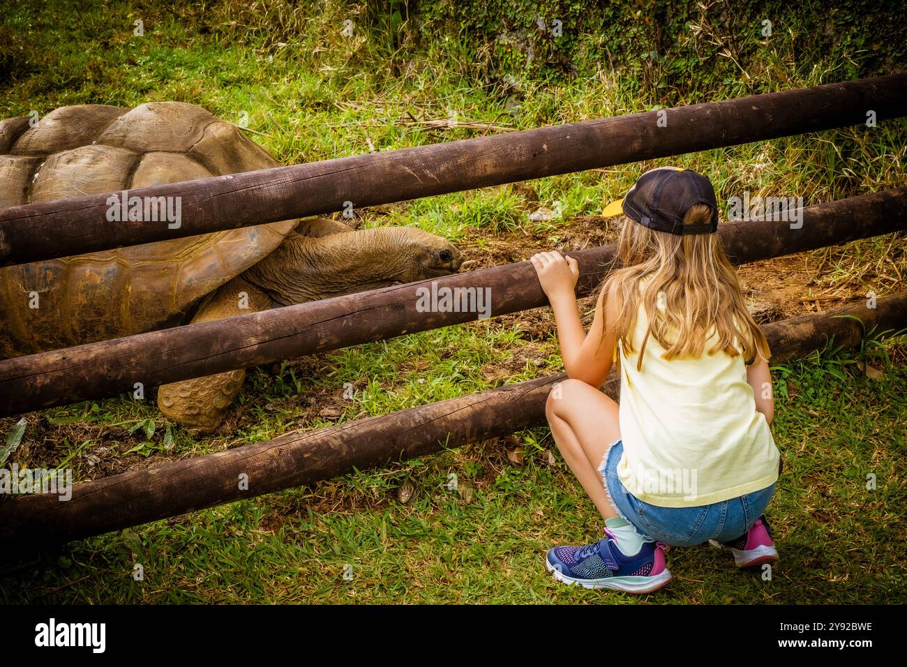 Beautiful view of an 8 years old girl looking at a giant tortoise eye ...