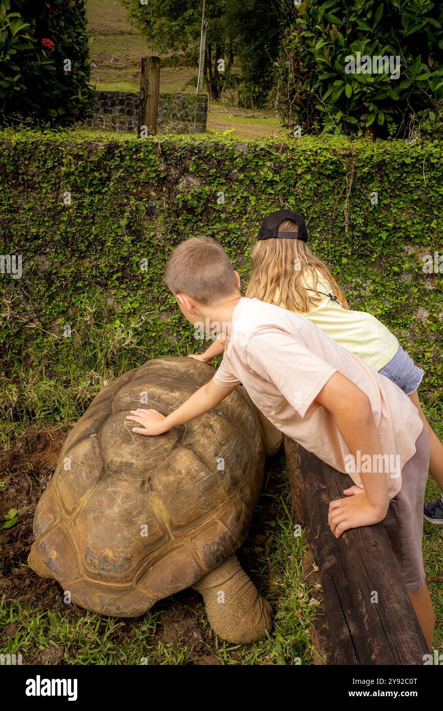 Beautiful view of young children gently touching a giant tortoise, a ...