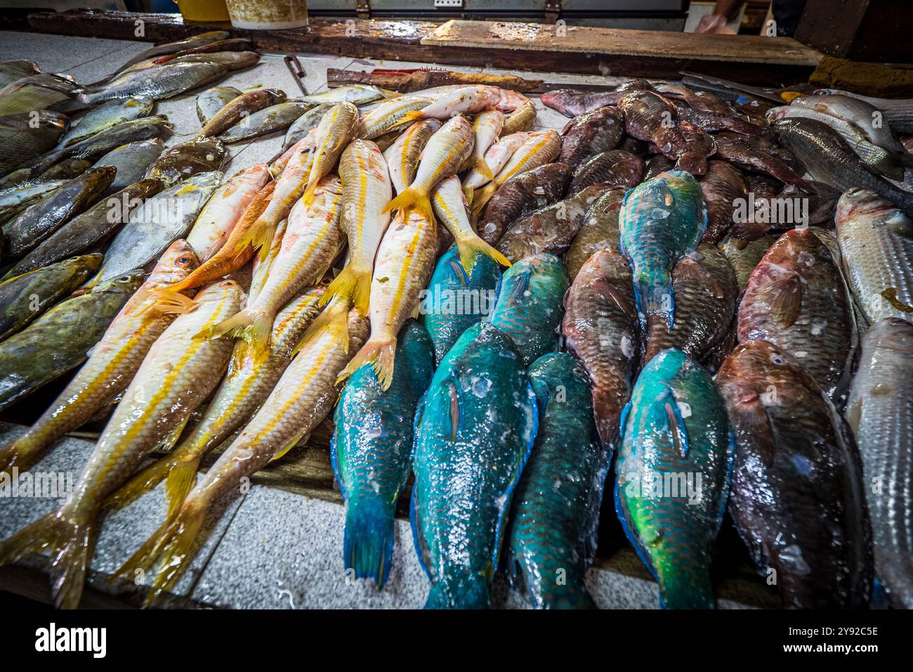 Mauritius counter hi-res stock photography and images - Alamy