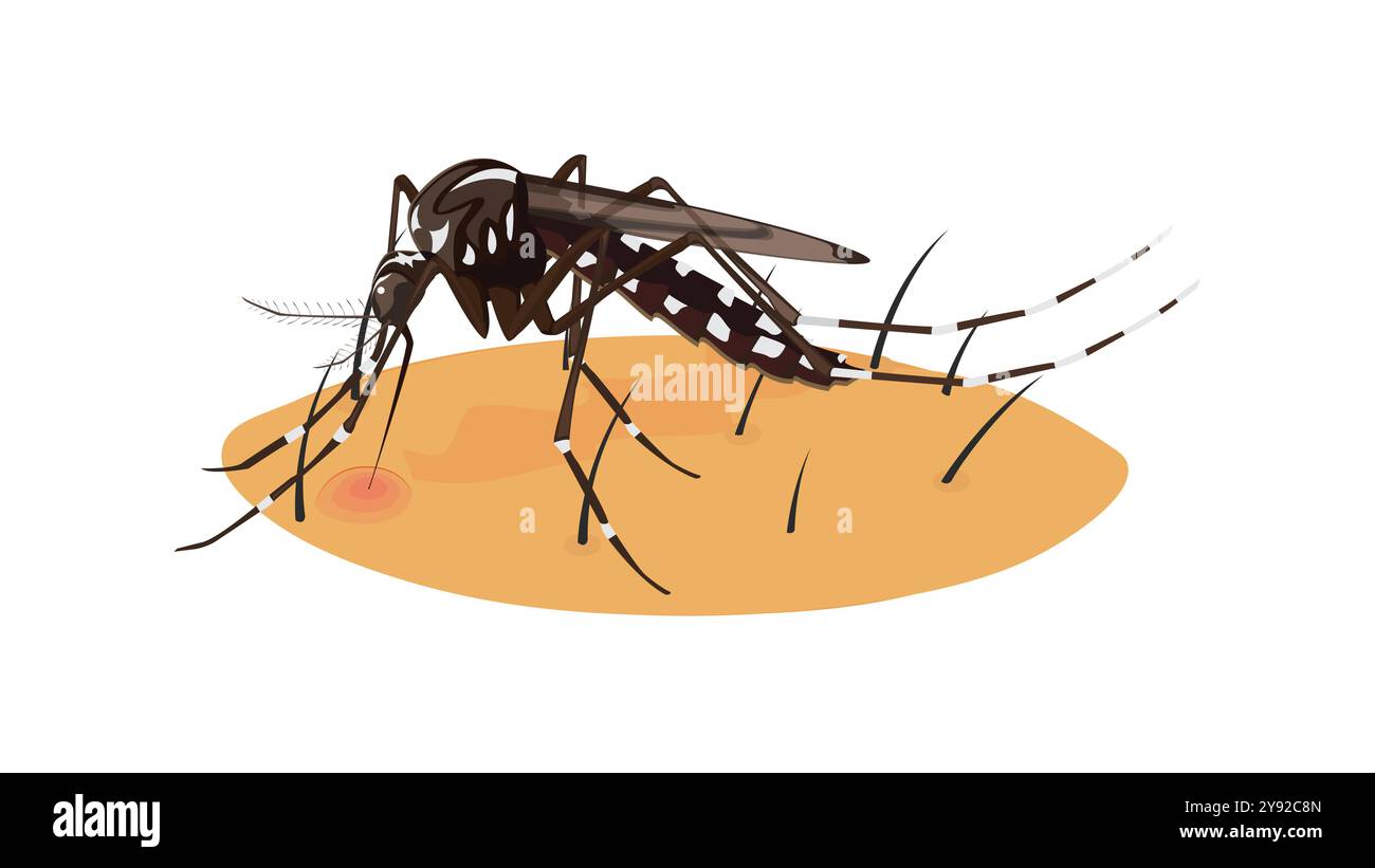 "Realistic Mosquito Bite Vector – Detailed Insect Bite Illustration for ...