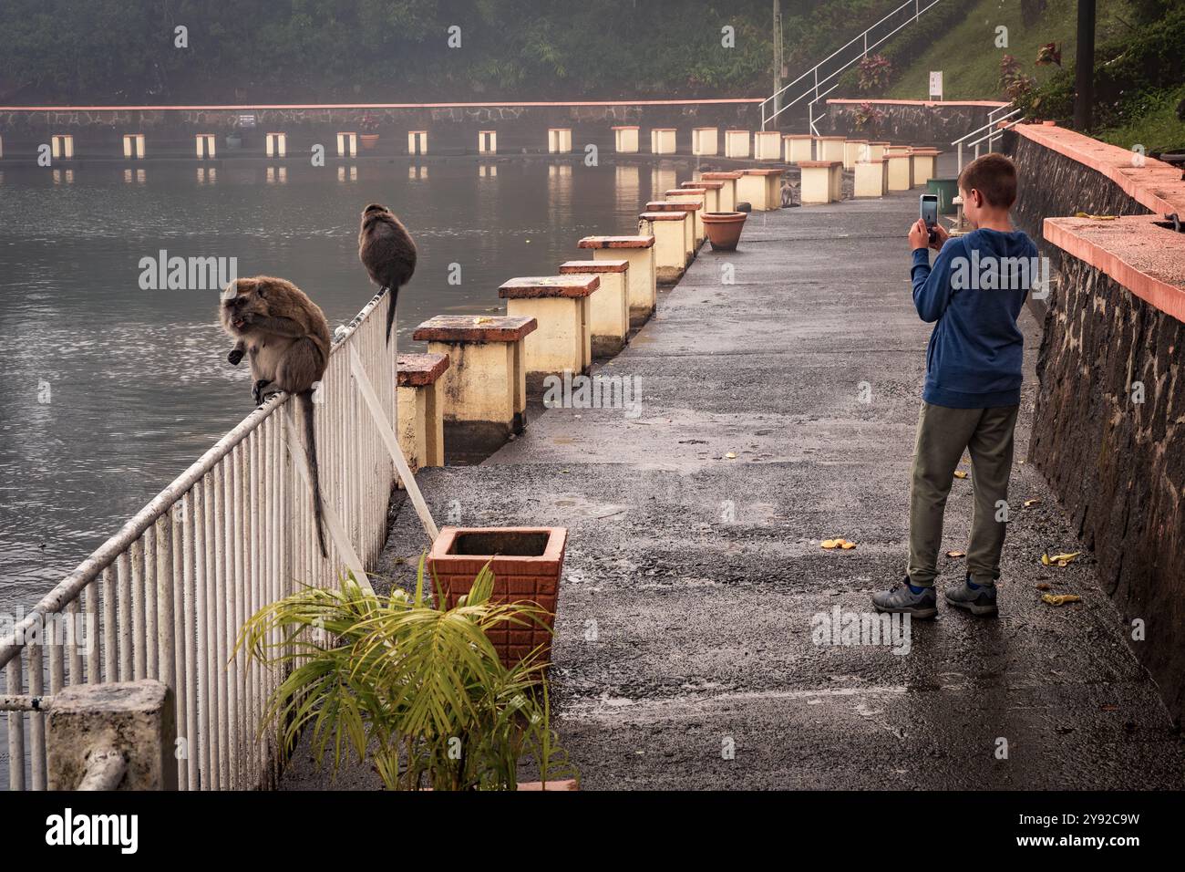 Beautiful view of a young boy taking a photo of macaques taking over ...